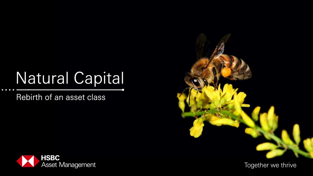 Natural Capital -Rebirth of an asset class