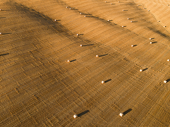 Martin Berg nommé Directeur Général de Climate Asset Management